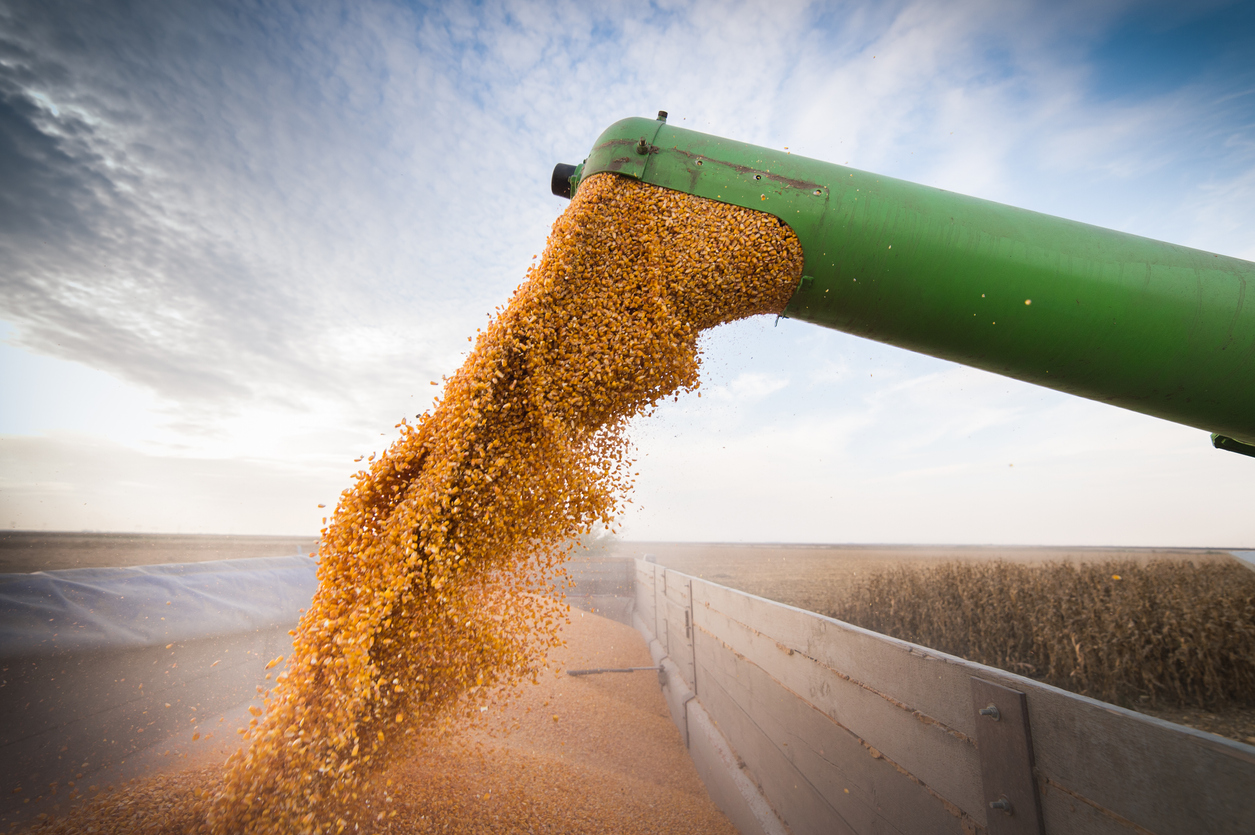 Enroll your 2021 Bushels in our Average Price Contract | luckeyfarmers.com