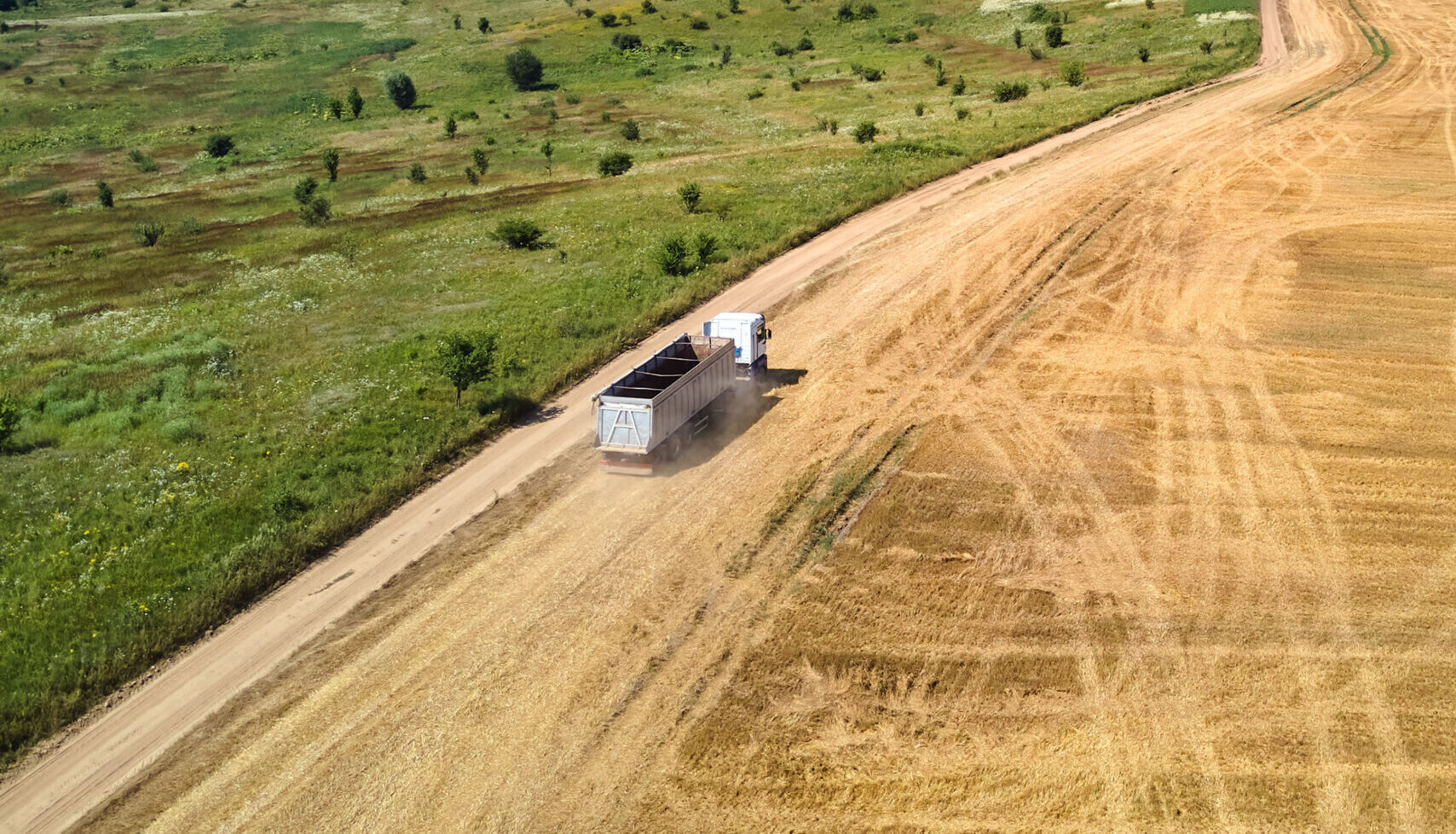 Direct Grain Program | luckeyfarmers.com