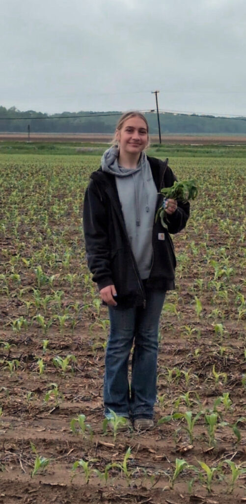 Intern Spotlight: Jessica Campbell | luckeyfarmers.com